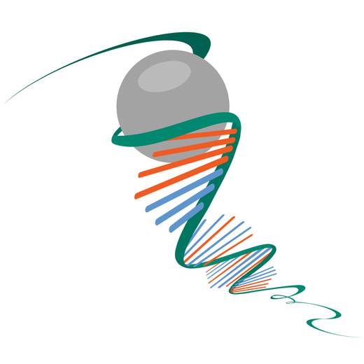 用于 DNA 合成的 Primer Support 5G|思拓凡商城